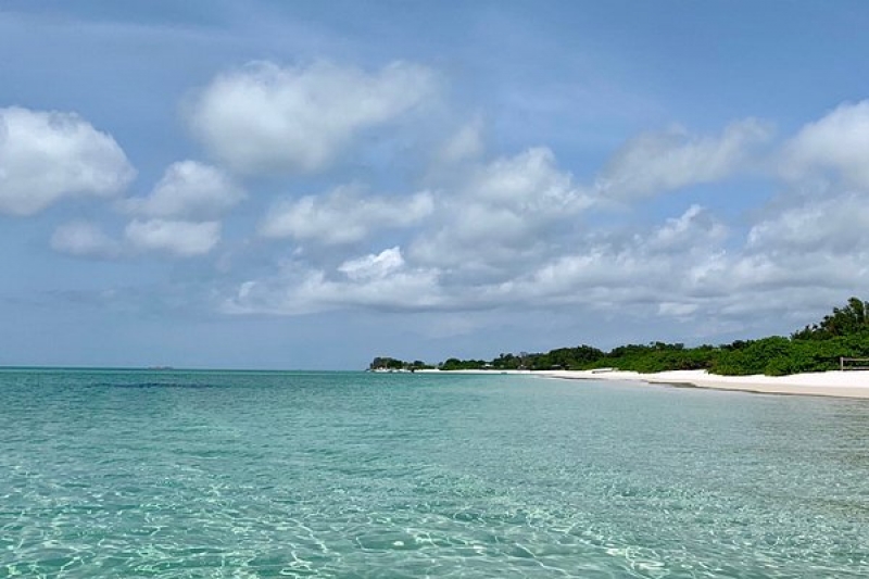 Gabon: Doğal Güzellikler, Vahşi Yaşam ve Lezzetler